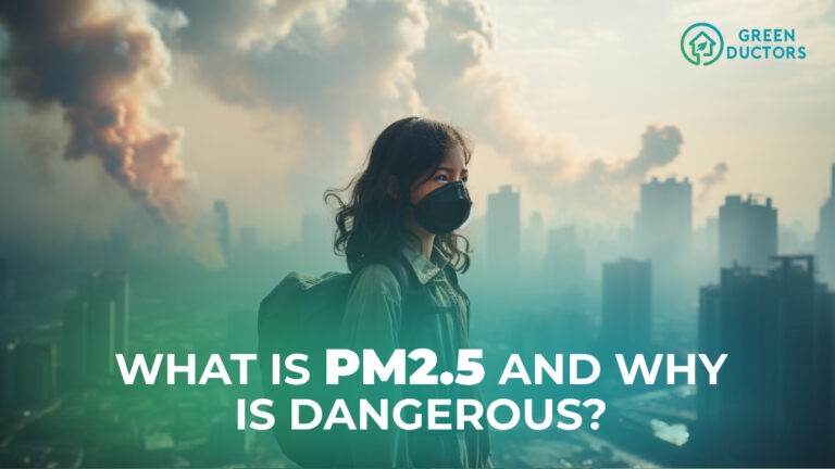 What is PM2.5 and how it threatens health