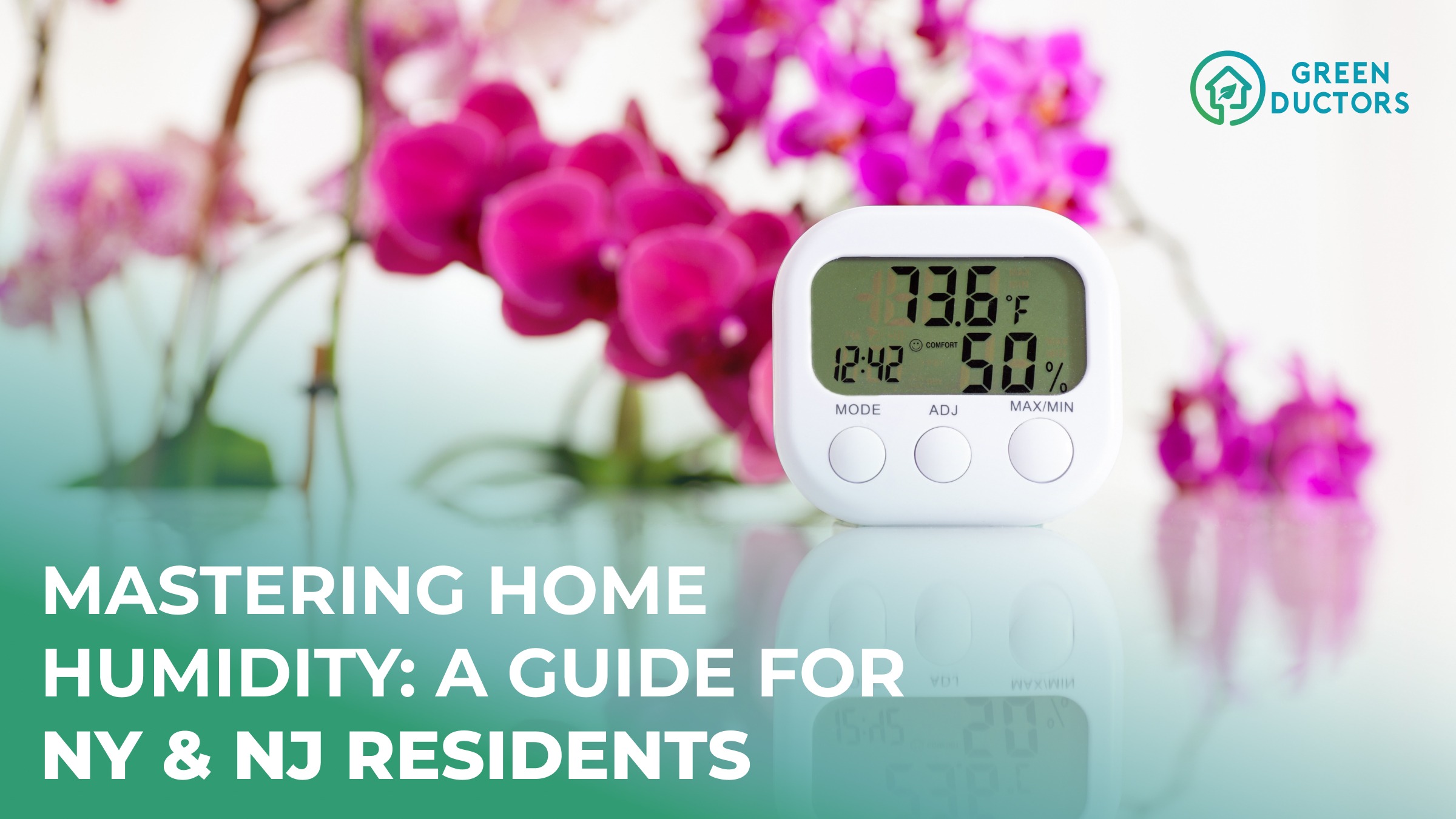 Mastering Home Humidity: A Guide for NY & NJ Residents | GreenDuctors
